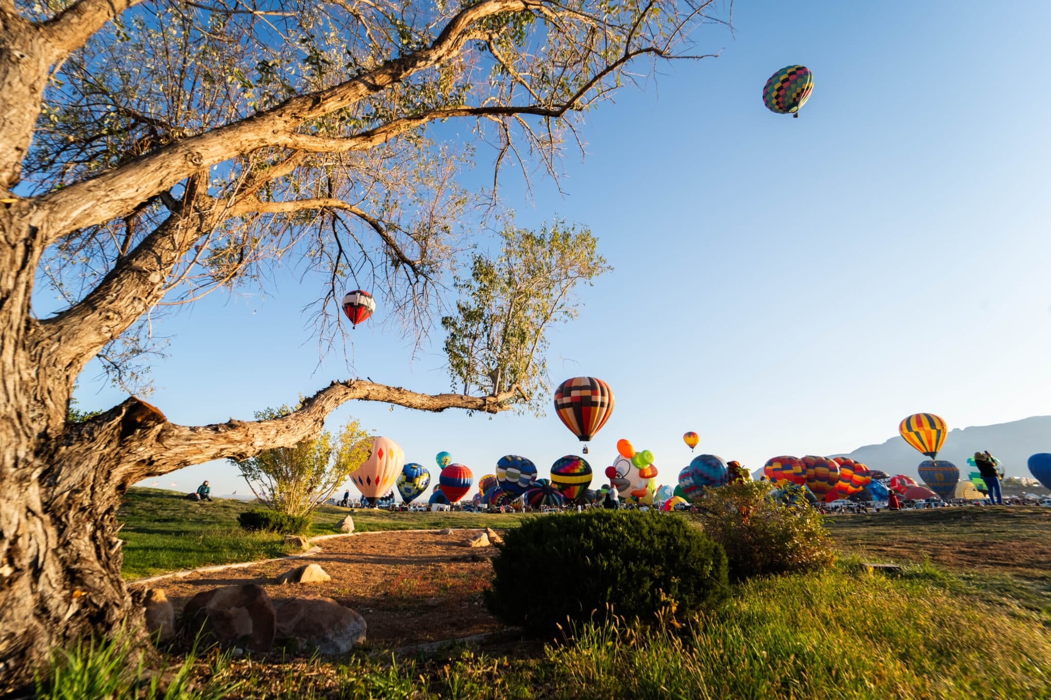 3 Days at the Albuquerque International Balloon Fiesta - Carmen's ...